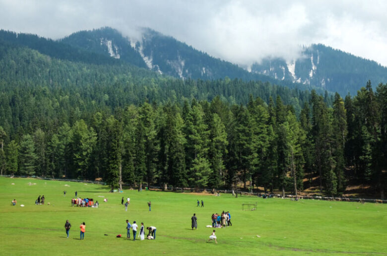 Le Magnifique India - Experience the unexpected.